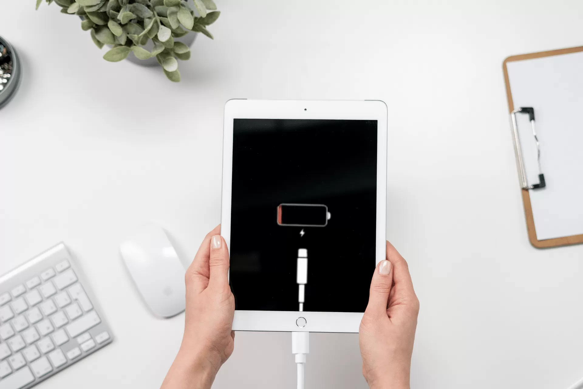 iPad Not Charging? Here’s What Might Be Wrong (And How to Fix It ...